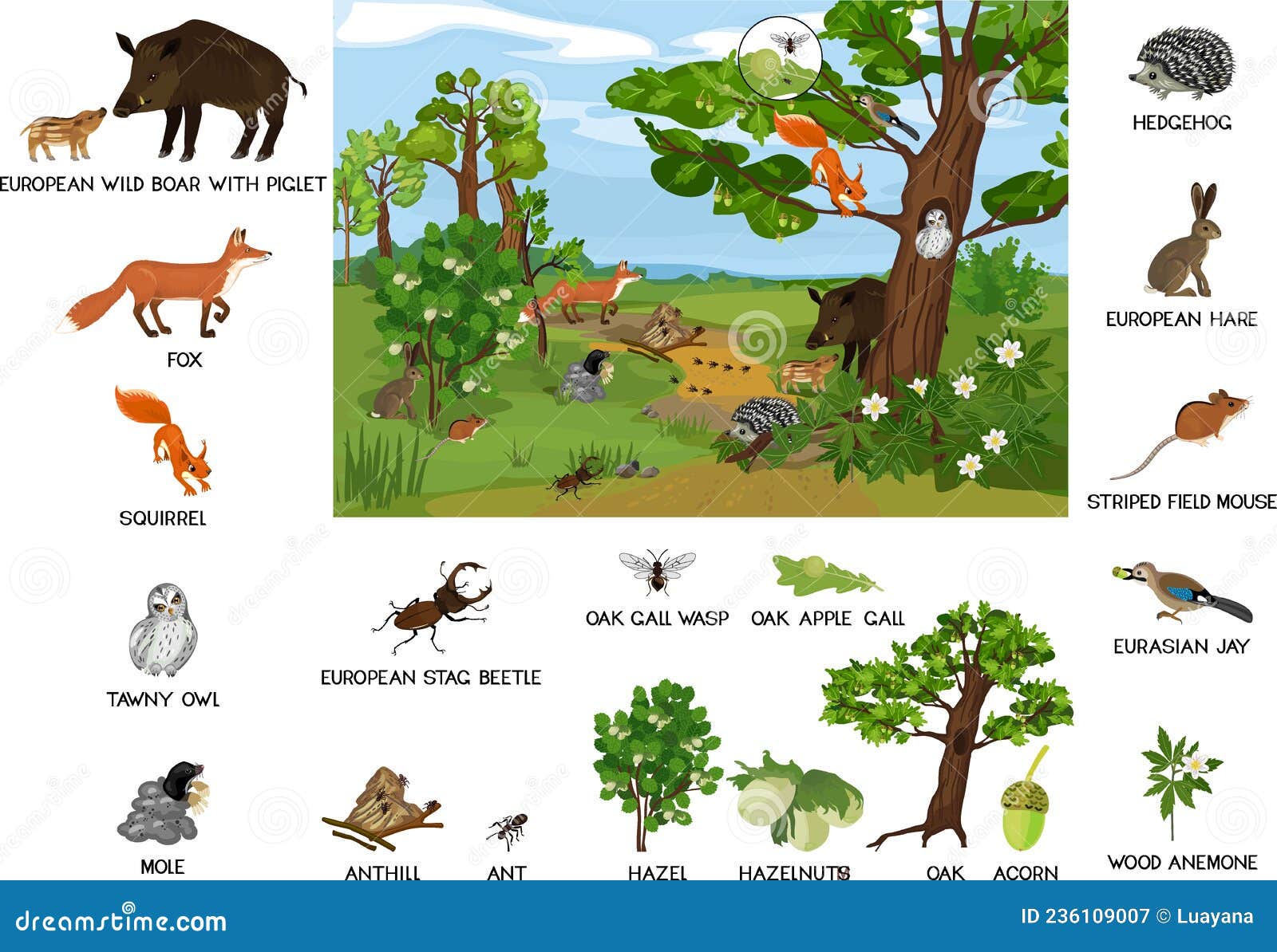 Qué diferencias existen entre hábitat y nicho ecológico en ecología