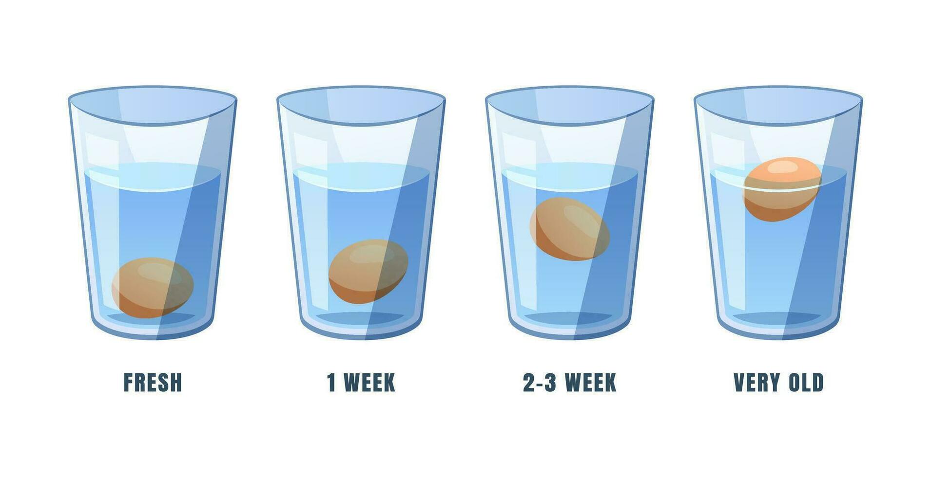 El huevo flota o se hunde Descubrí el experimento fácil